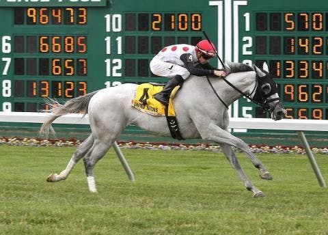 World Approval capitalizes on perfect trip in UN | TwinSpires