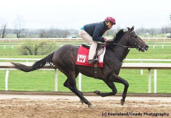 Scully's Kentucky Derby Top 10 staying steady ahead of major | TwinSpires