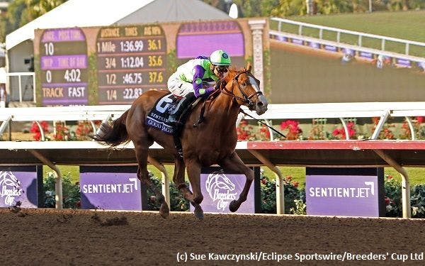 Kentucky Derby Pedigree Profile: Good Magic | TwinSpires