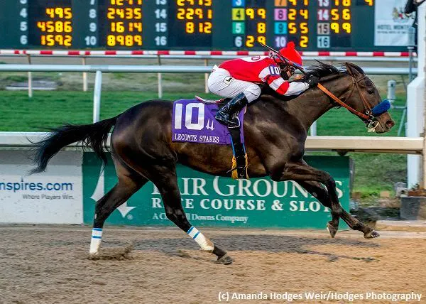 Kentucky Derby Pedigree Profile: Instilled Regard | TwinSpires