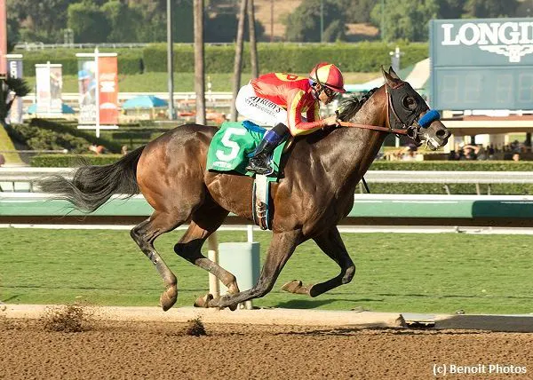 Kentucky Derby Pedigree Profile: McKinzie | TwinSpires