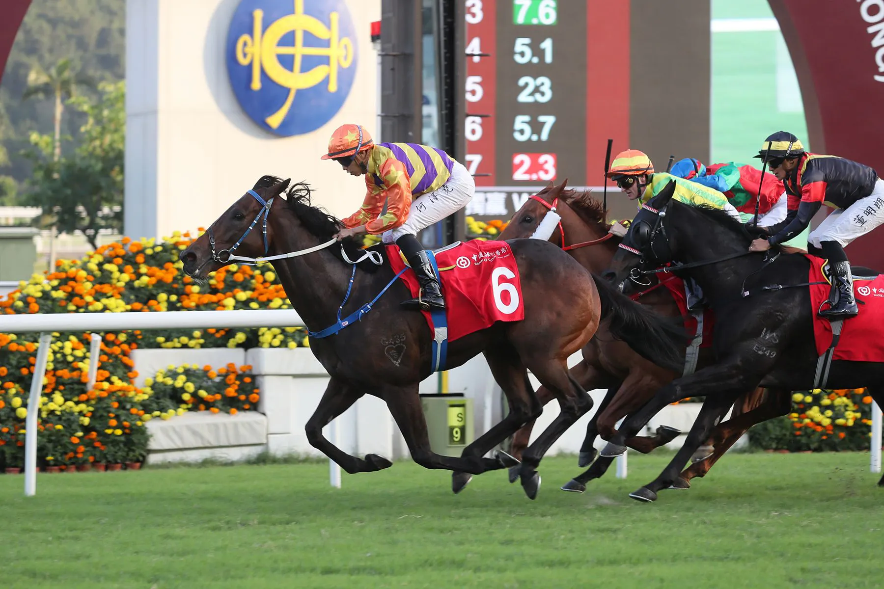 Hong Kong Selections Jan. 21: Straight Arron the Stewards' Cup value ...