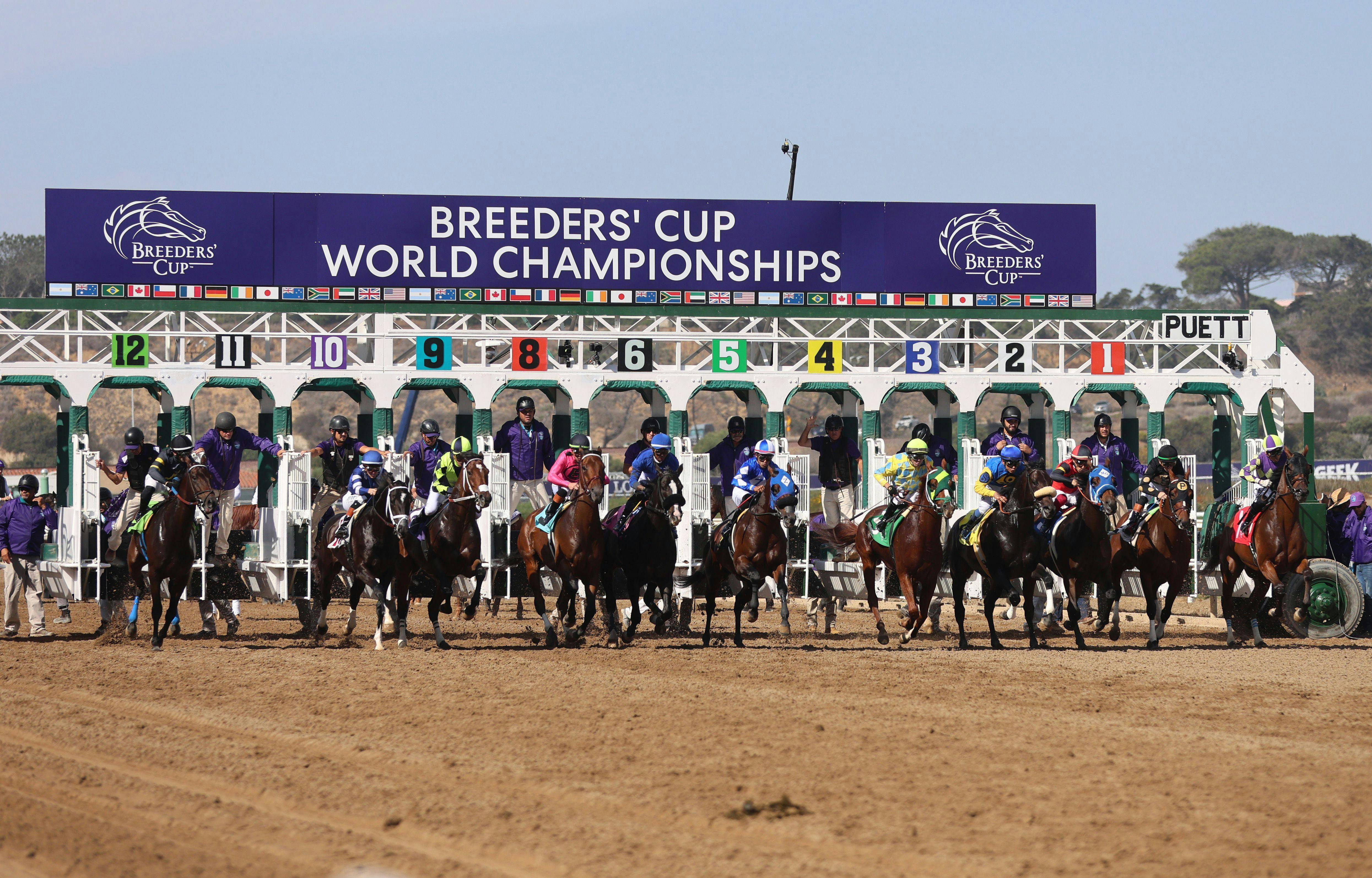 2025 Breeders’ Cup odds, predictions, contenders, horses | TwinSpires