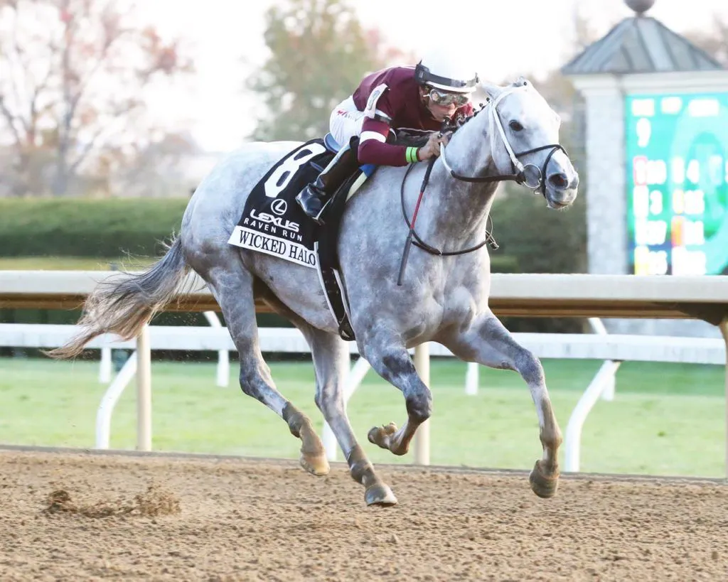 Exotics Plays for the 2023 Dream Supreme Stakes | TwinSpires