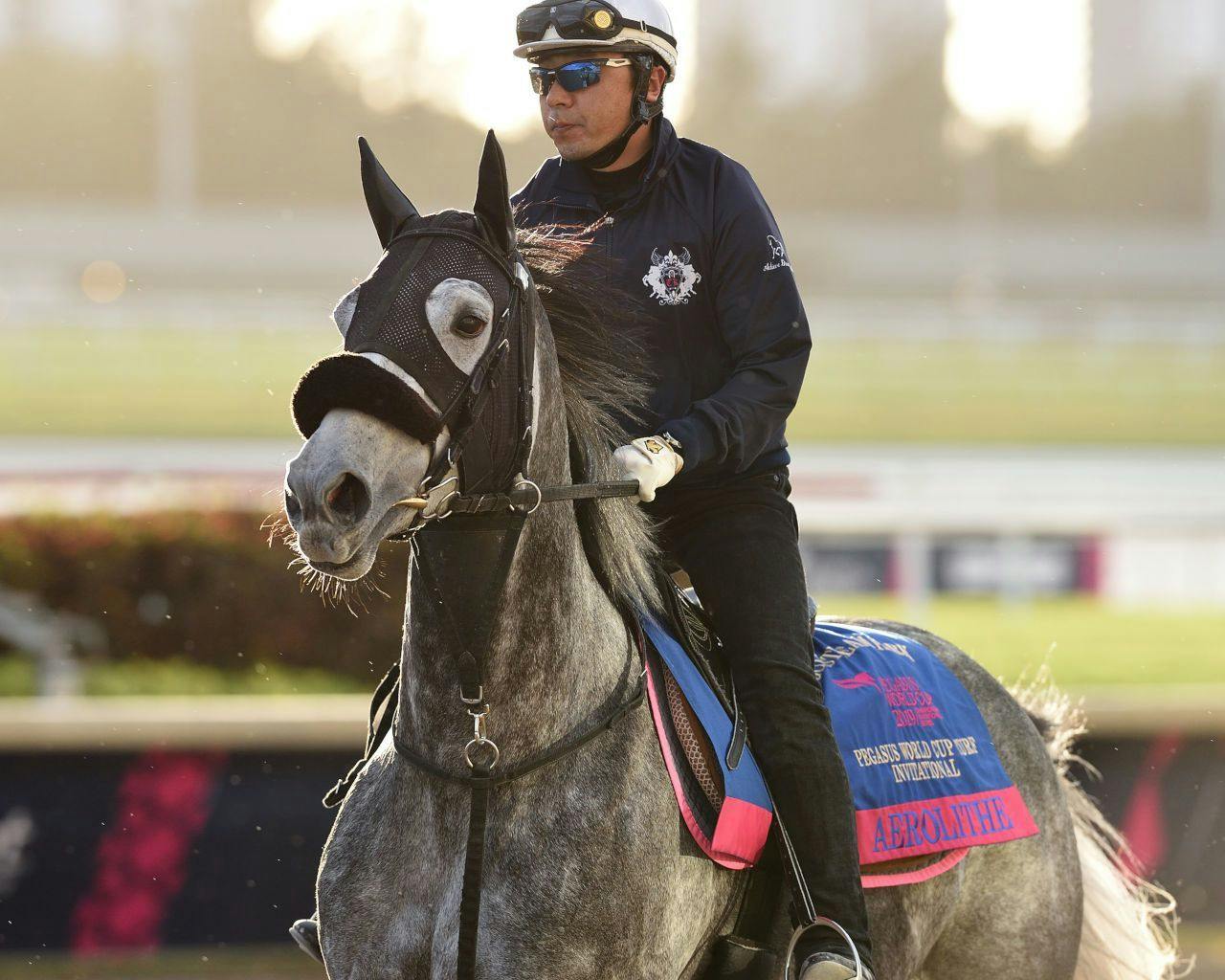 Pegasus World Cup Turf international scouting reports: Aerol | TwinSpires