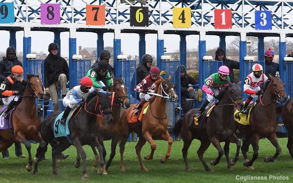 Today's Best Horse Racing Bets, Tips and Predictions | TwinSpires