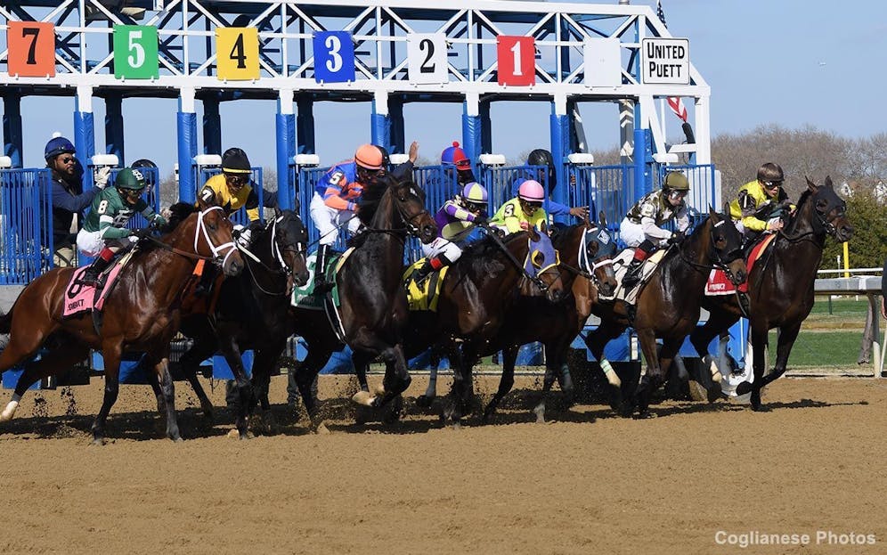 Aqueduct Racetrack Picks, Entries, Race Schedule, Best Bets & More ...