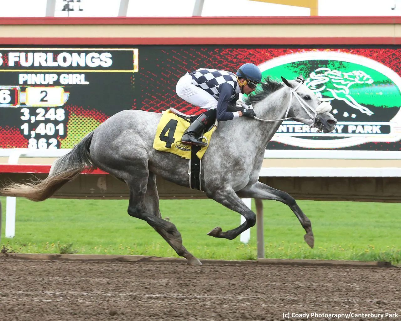Holland's North American Free Racing Picks for July 13 | TwinSpires