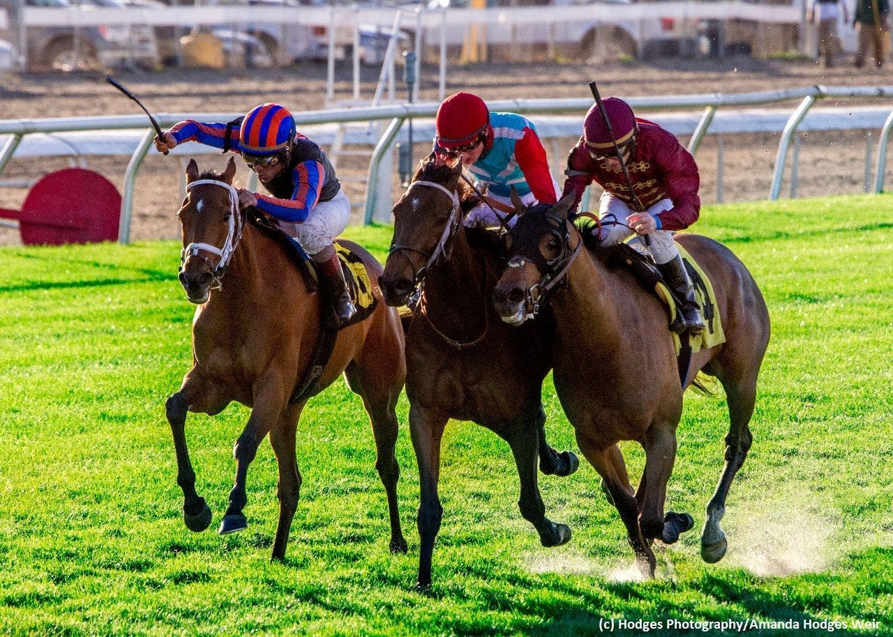 Spot Plays for Fair Grounds' Road to the Derby Kickoff Day s | TwinSpires