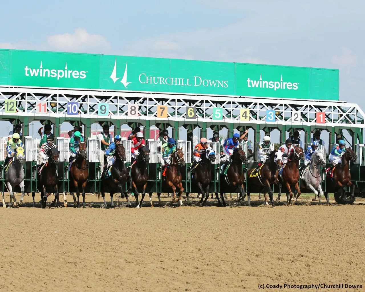 Thoroughbred, Harness, Standarbred, Quarter Horse Racing | TwinSpires