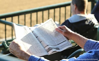 How to read a Brisnet horse racing program | TwinSpires