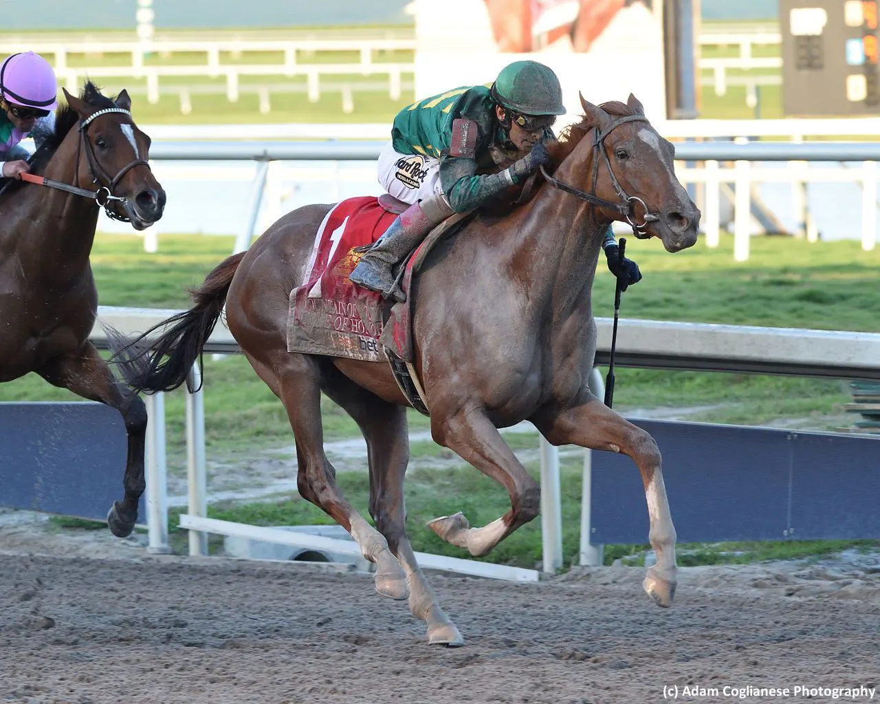 Kentucky Derby Pedigree Profile: Code of Honor | TwinSpires
