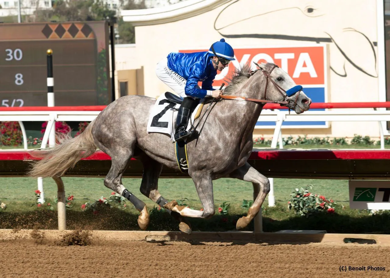 Sham runs through Coliseum for January Road to the Derby Bon | TwinSpires