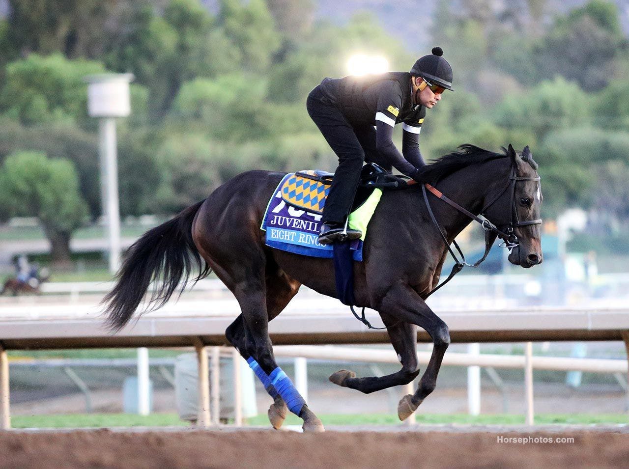 Thoroughbred, Harness, Standarbred, Quarter Horse Racing | TwinSpires