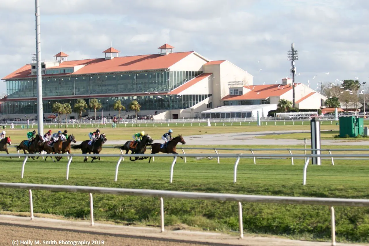 Spot Plays for Louisiana Derby Preview Day | TwinSpires