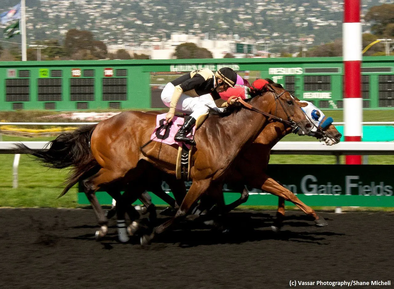 Racing resumes at Golden Gate with mandatory Pick 6 dispersa | TwinSpires