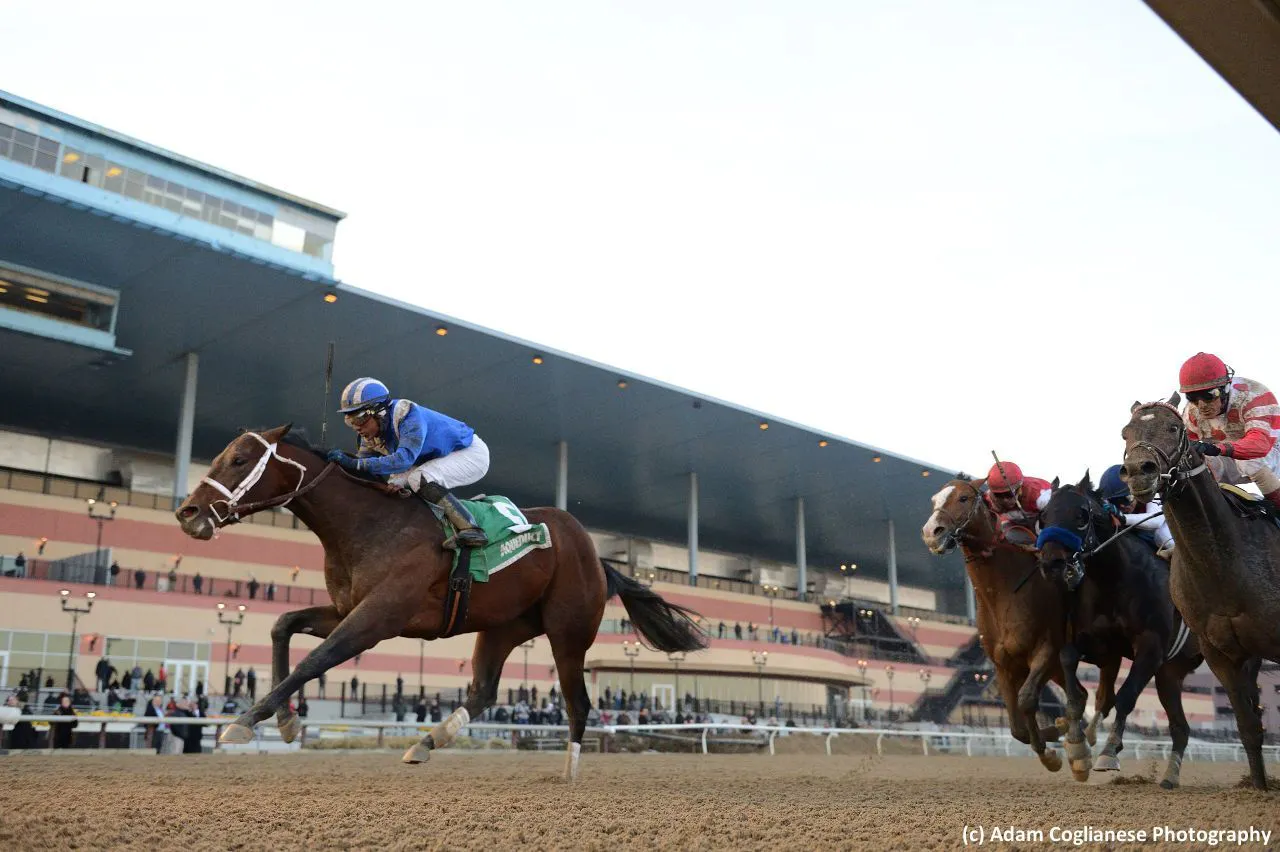 Kentucky Derby Pedigree Profile: Haikal | TwinSpires