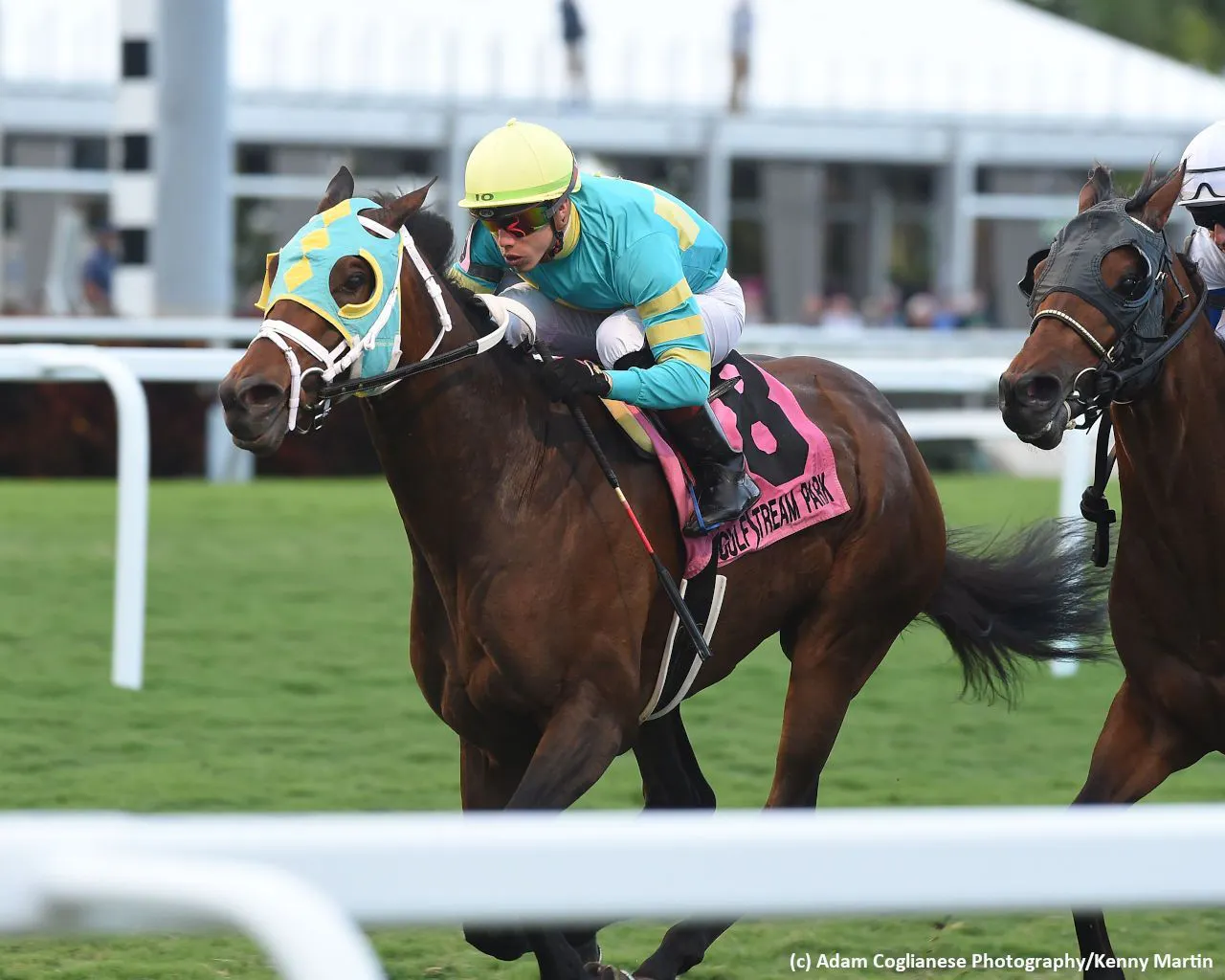How to Bet the Fourstardave Handicap | TwinSpires