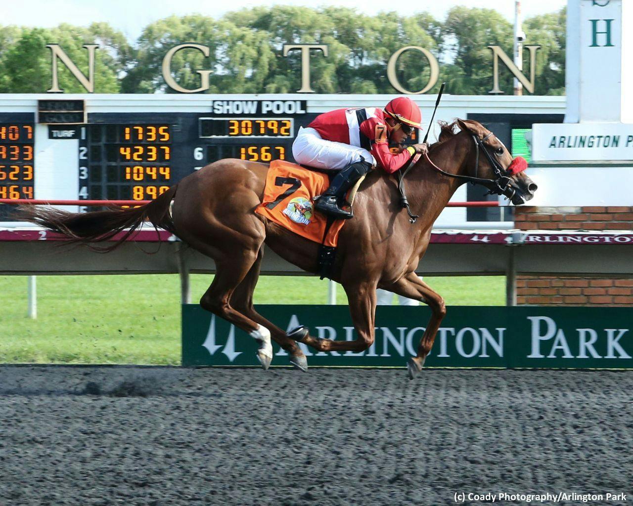 Hotshot Anna looms large in Nelson Menard Memorial | TwinSpires