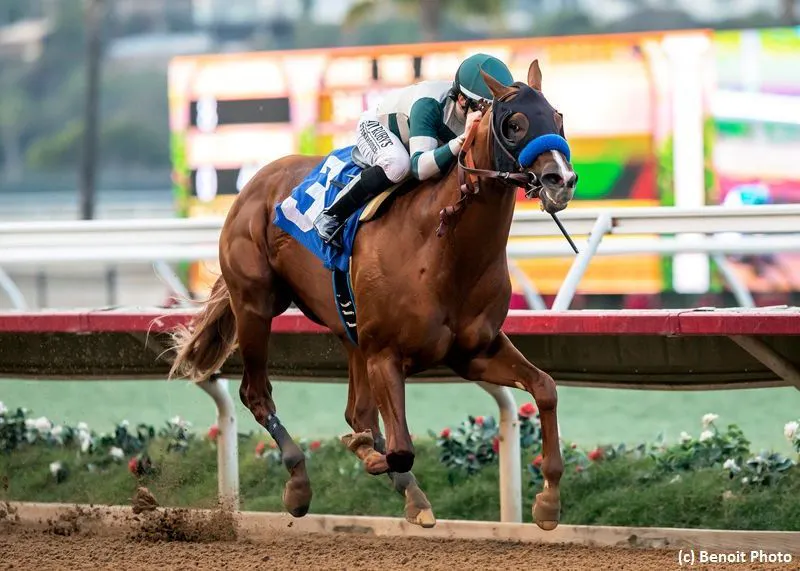 How to bet the 2019 Robert B. Lewis Stakes | TwinSpires