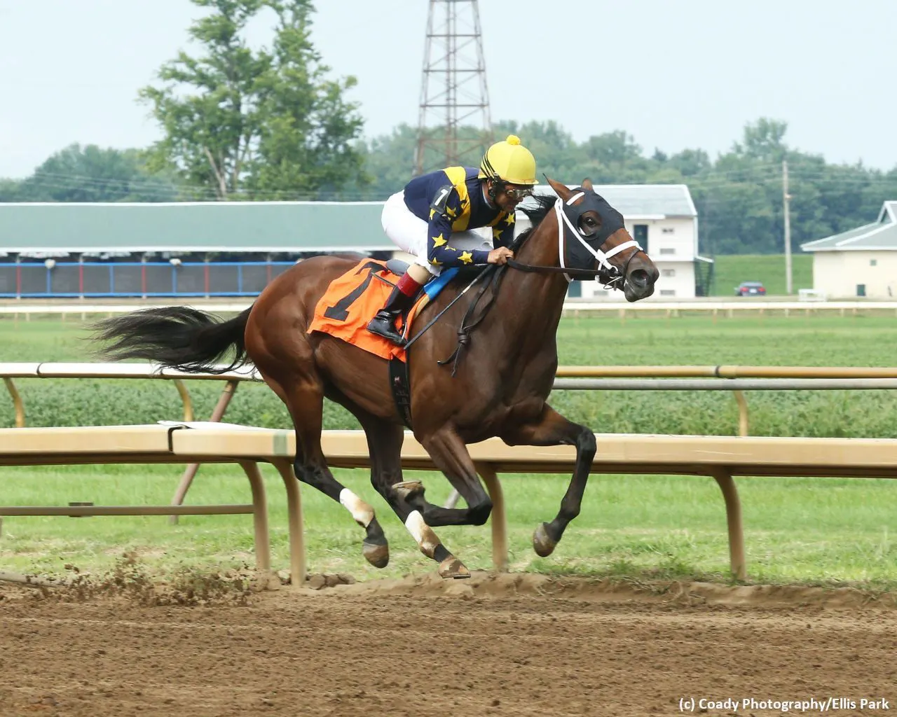 How to Bet the 2019 Pocahontas Stakes | TwinSpires