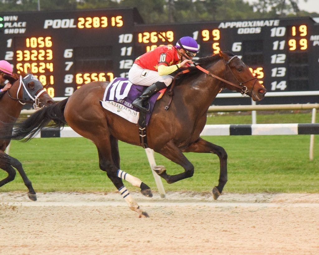 Quip the key in all-stakes Del Mar Pick 3 | TwinSpires