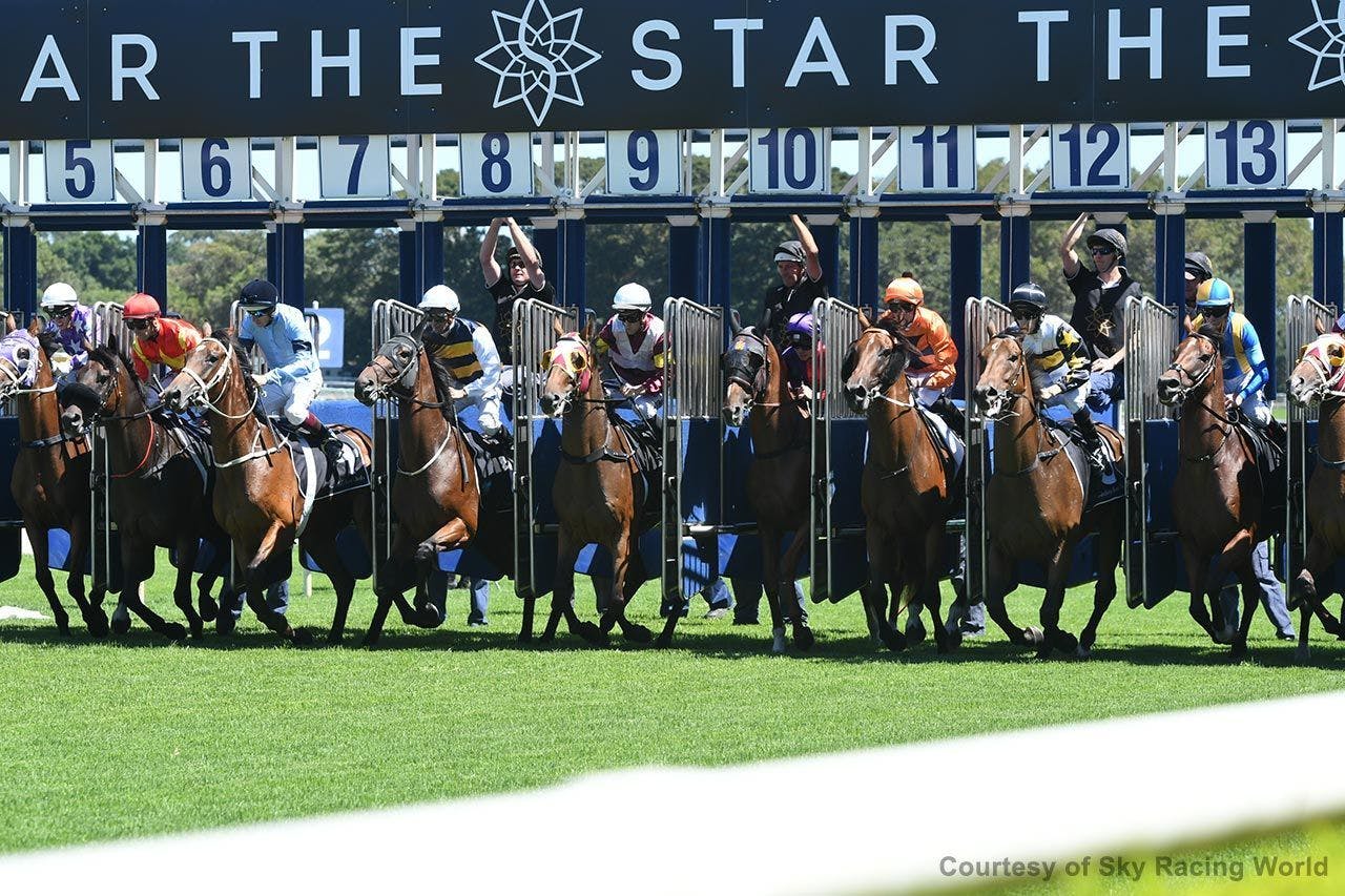 Sydney Preview: Spot plays for Randwick | TwinSpires