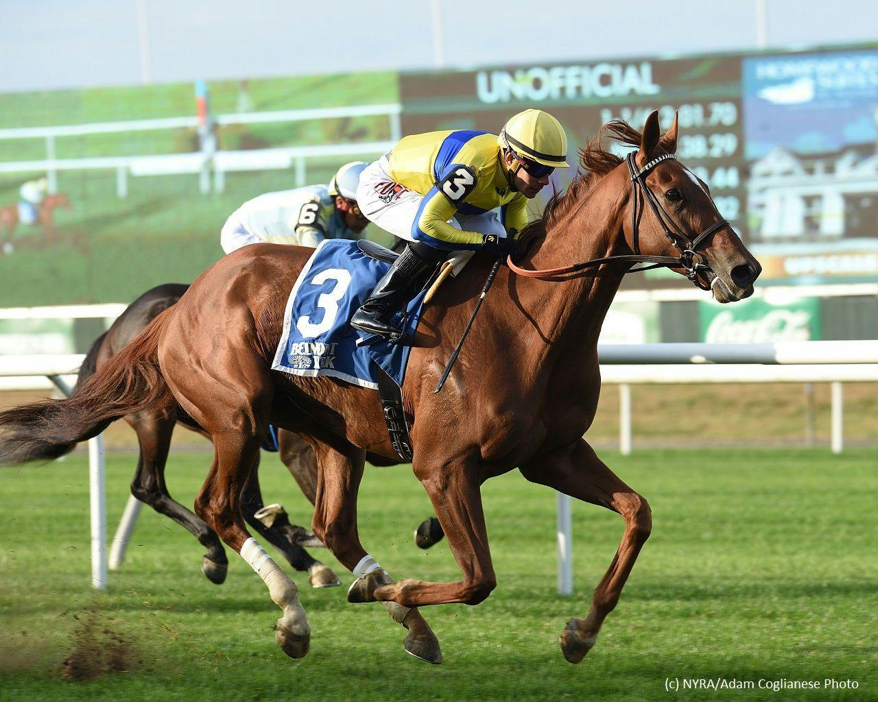 How to Bet the Red Smith Stakes | TwinSpires