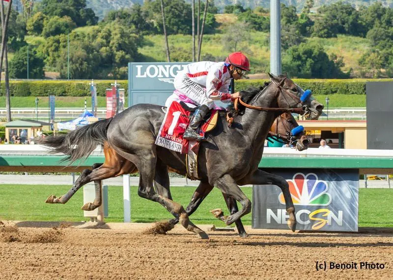 Kentucky Derby Pedigree Profile: Roadster | TwinSpires