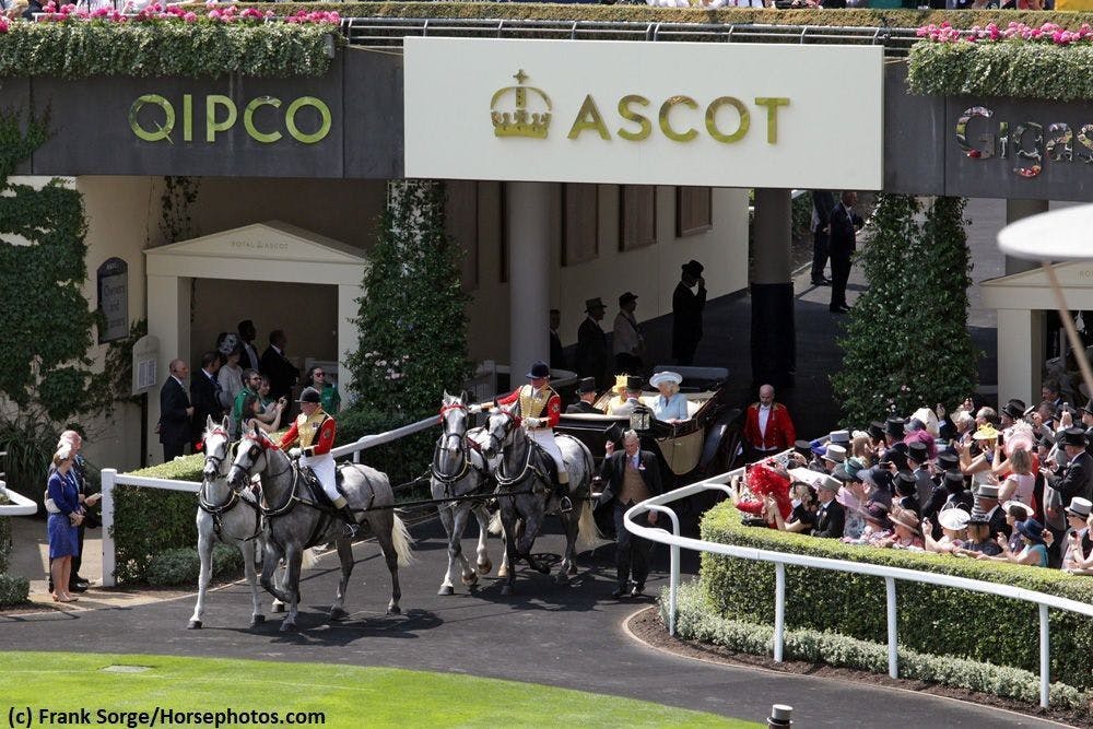 Which Royal Ascot race are you? | TwinSpires