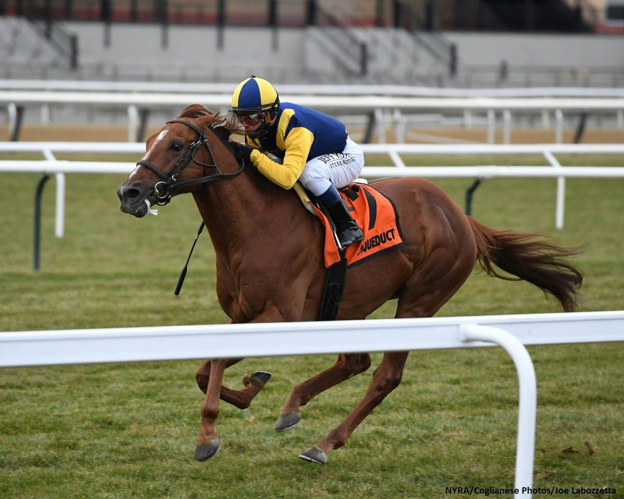 10 of the Best Red Smith Stakes winners at Aqueduct | TwinSpires