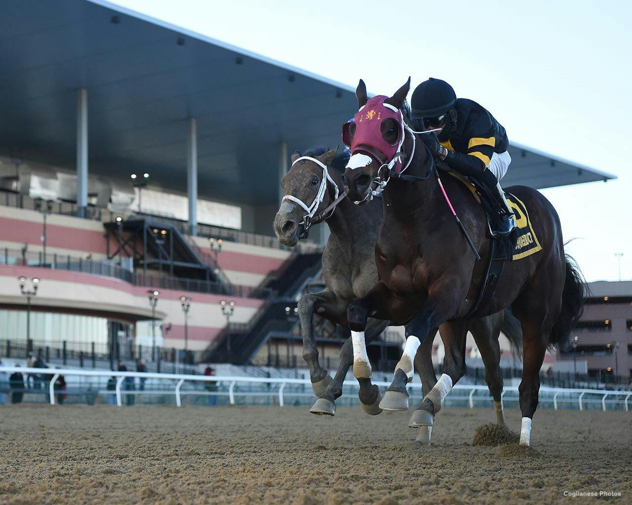 Inside the Kentucky Derby - Remsen Stakes Race Preview [POD | TwinSpires