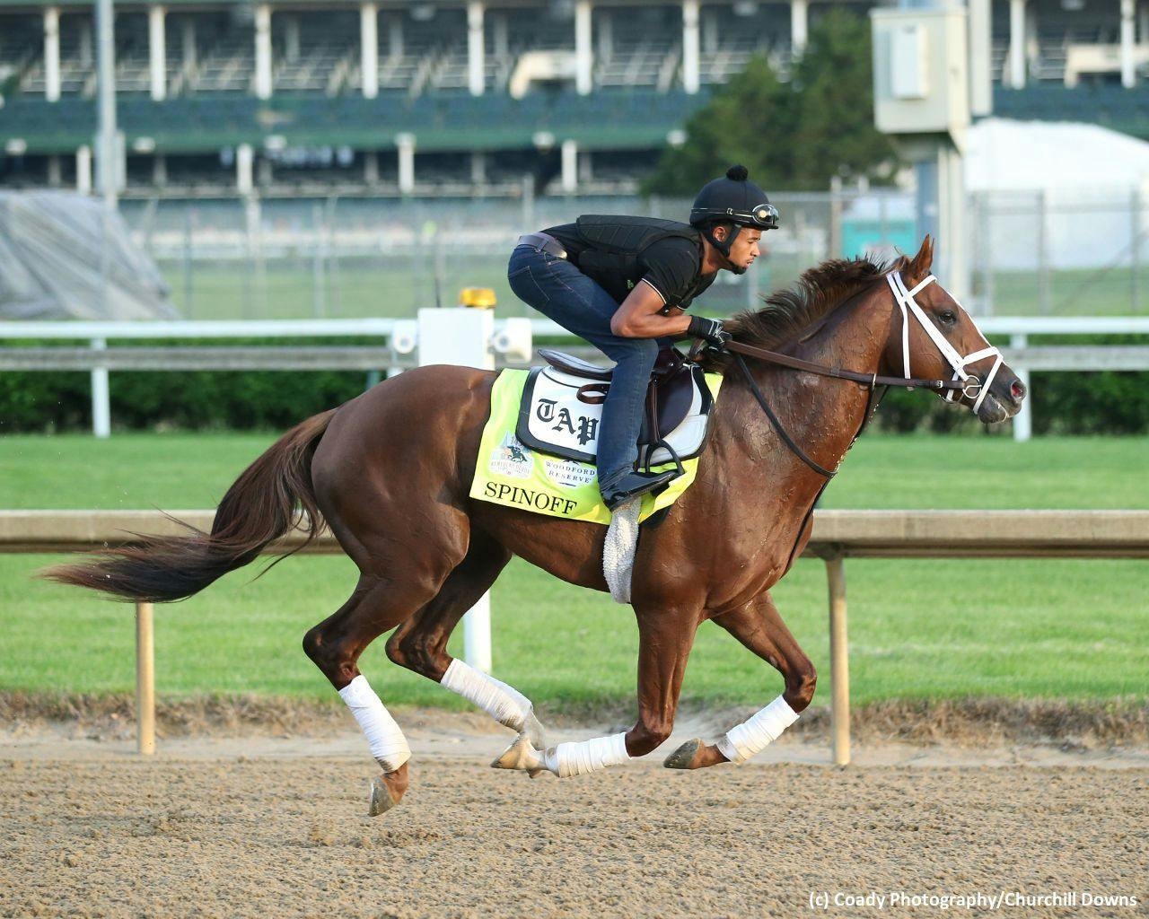 Oceanport and Alydar Stakes Analysis | TwinSpires