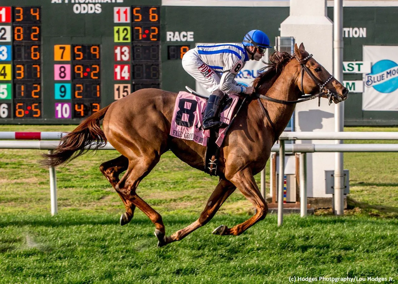 Thoughts on the Louisiana Derby Preview Day $100,000 guarant | TwinSpires