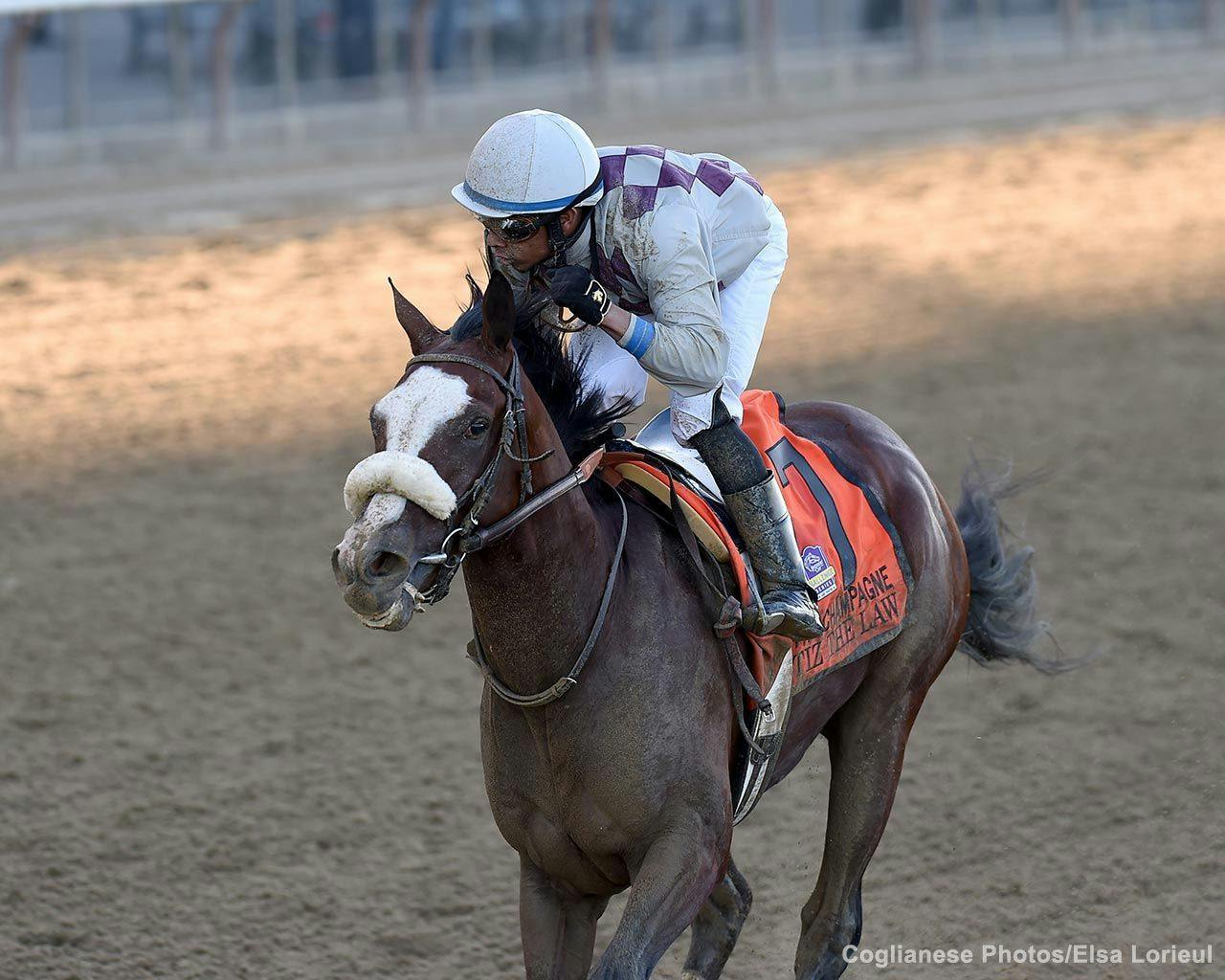 Playing Gulfstream’s all-sophomore stakes Pick 3 | TwinSpires