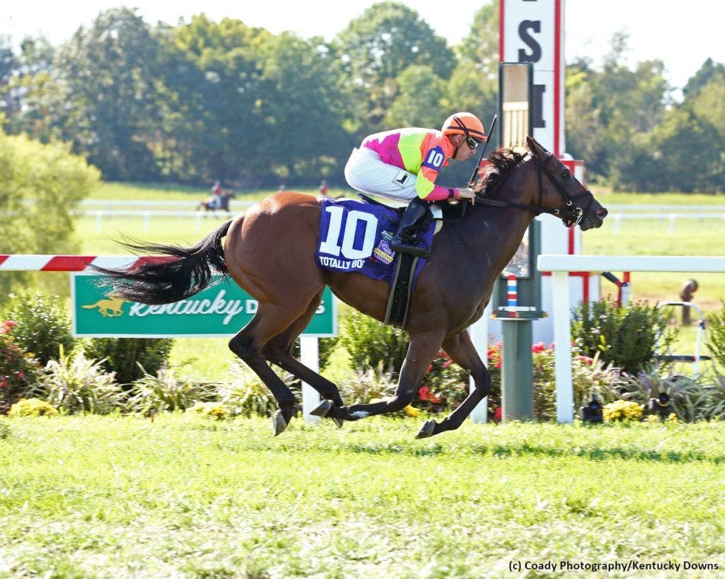 Totally Boss speeds into Breeders' Cup Turf Sprint contentio | TwinSpires