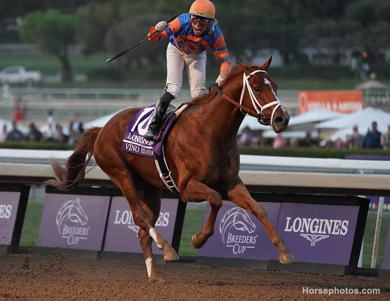 Breeders’ Cup Classic: 2020 Brisnet Speed Rating Report | TwinSpires