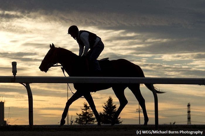 Scully: Handicapping the Aug. 8 Cross-Country Pick 5 | TwinSpires