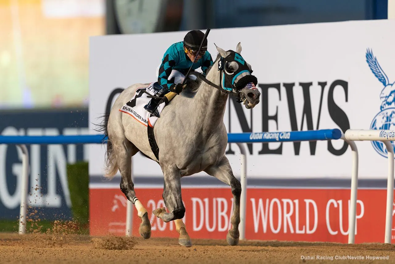 How to bet the Mr. Prospector Stakes | TwinSpires