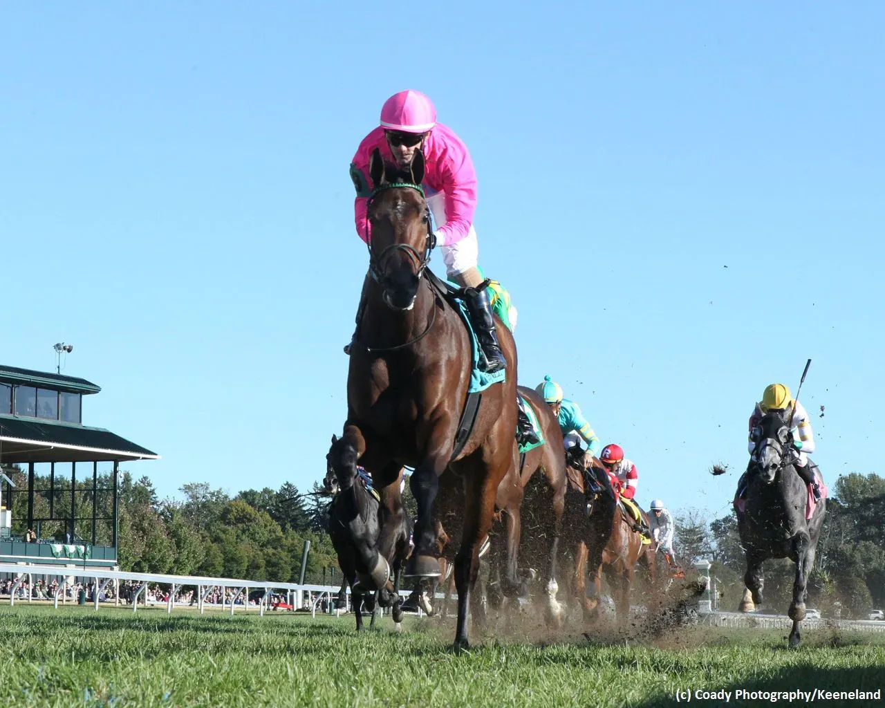How to bet the 2023 Valley View Stakes | TwinSpires