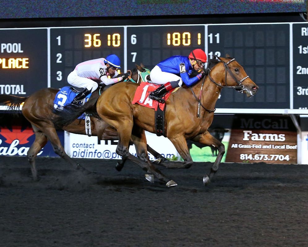 Today's Best Horse Racing Bets | TwinSpires