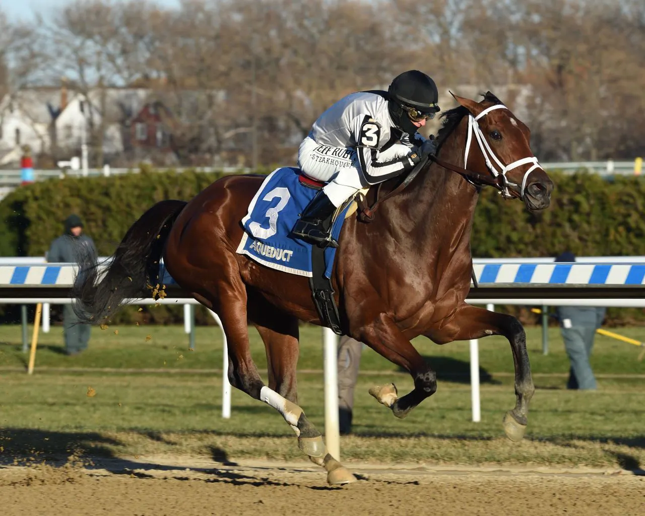 How to bet the Ladies Handicap | TwinSpires