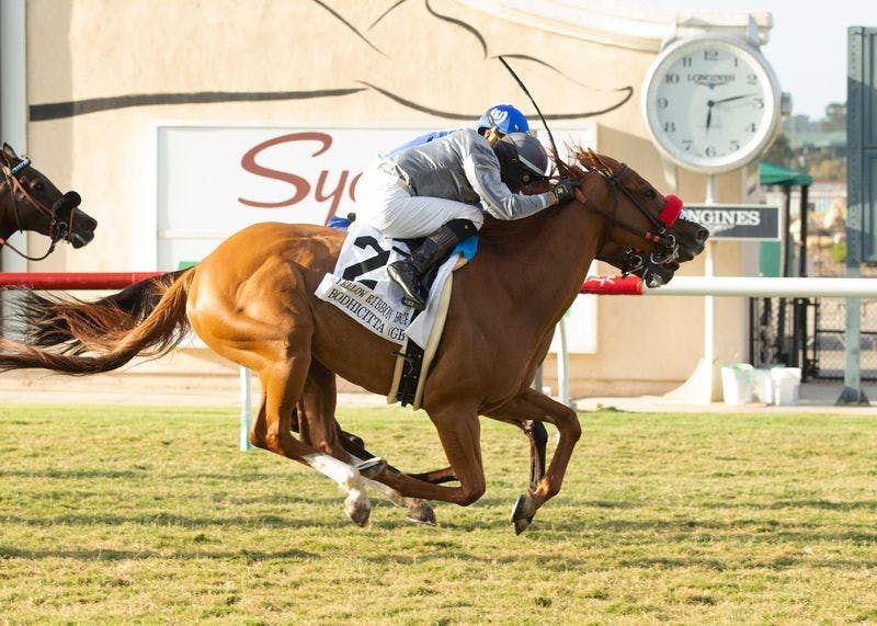 How to bet the Rodeo Drive Stakes | TwinSpires
