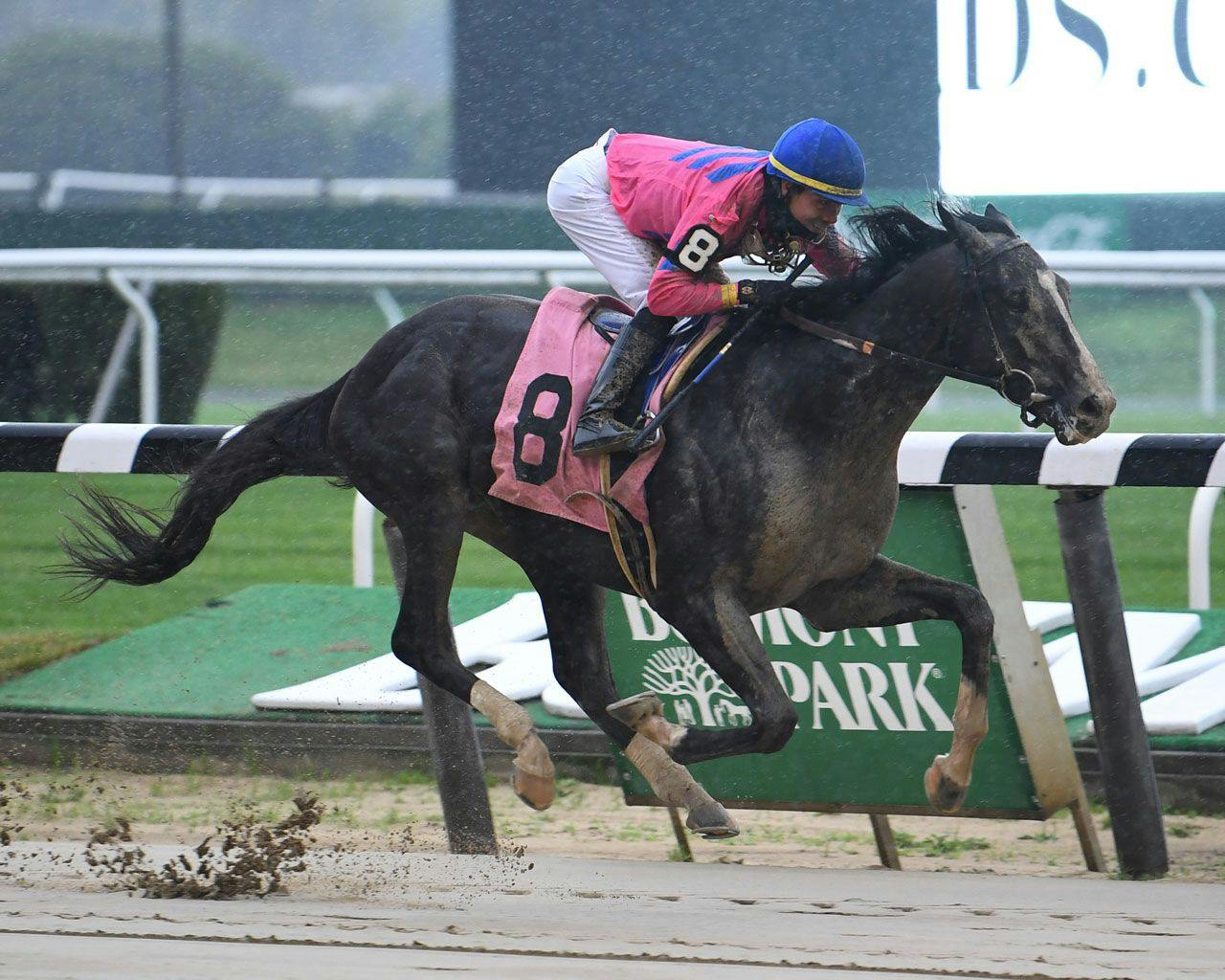 Kentucky Derby Maiden Watch: Creed, Uncle Chuck romp to easy | TwinSpires