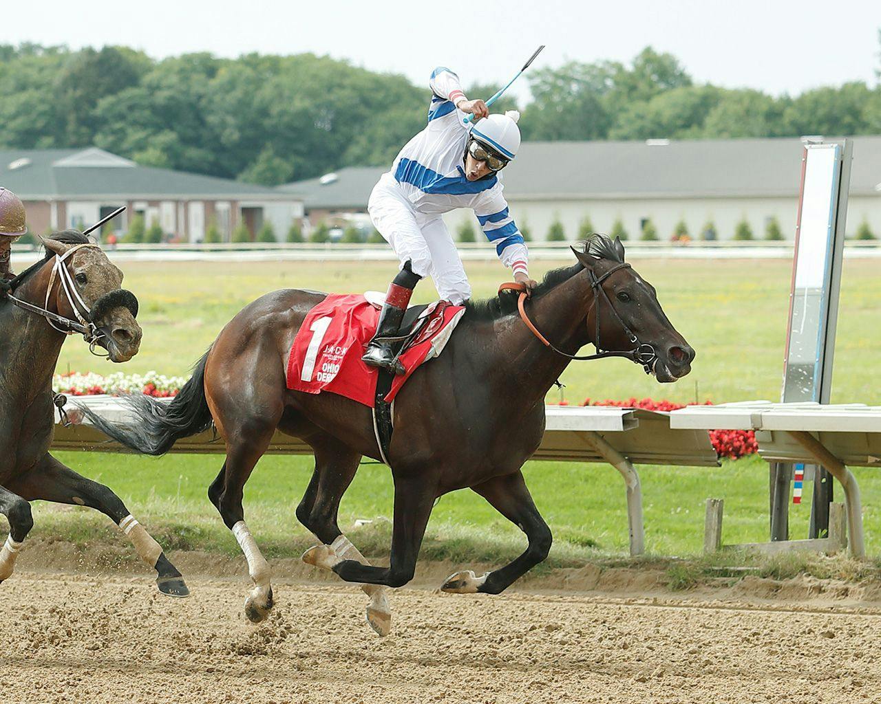 Kentucky Derby Pedigree Profile: Dean Martini | TwinSpires