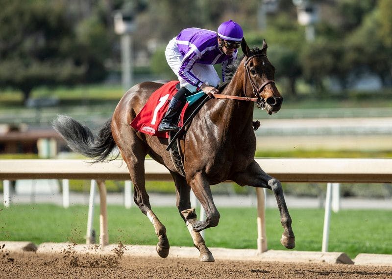 Holland's North American free racing picks for Sept. 4 | TwinSpires