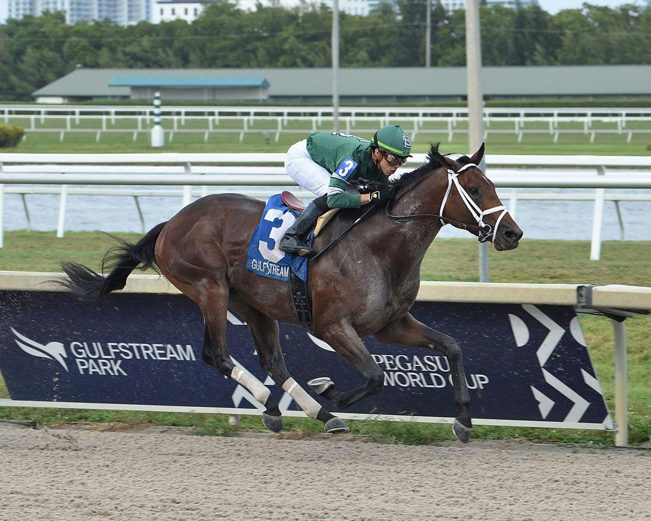 Kentucky Derby Pedigree Profile: Dr Post | TwinSpires