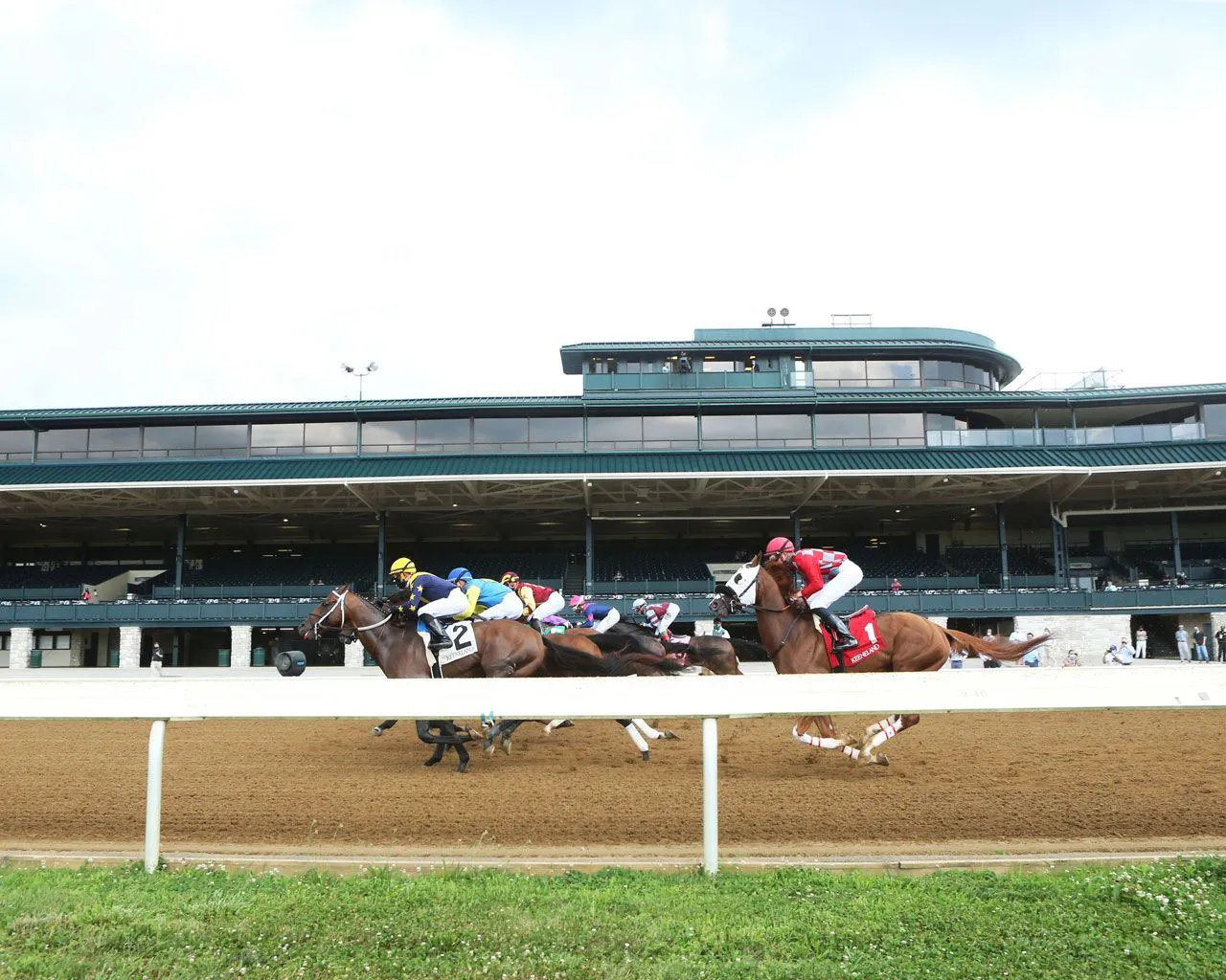 How to bet the Doubledogdare Stakes | TwinSpires