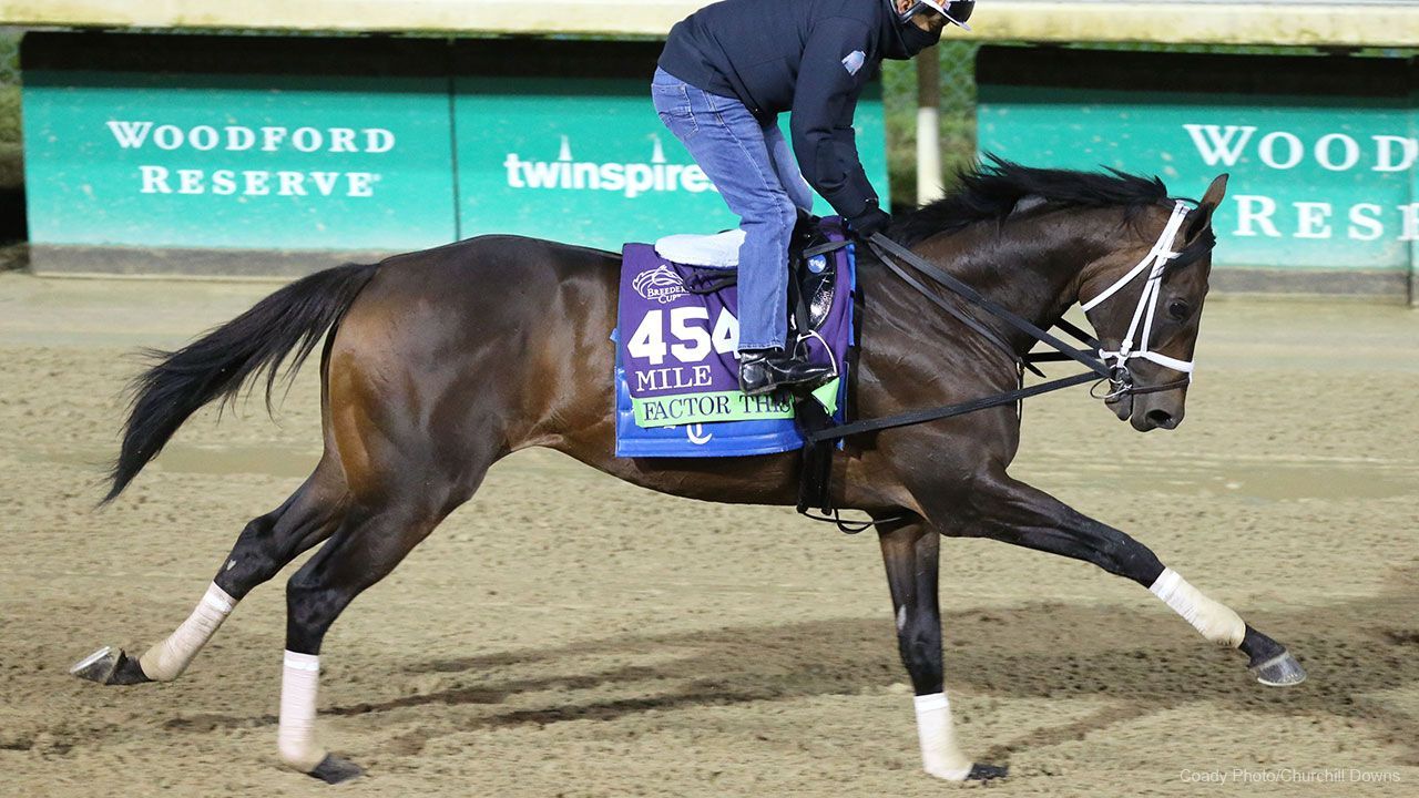 Thoroughbred, Harness, Standarbred, Quarter Horse Racing | TwinSpires