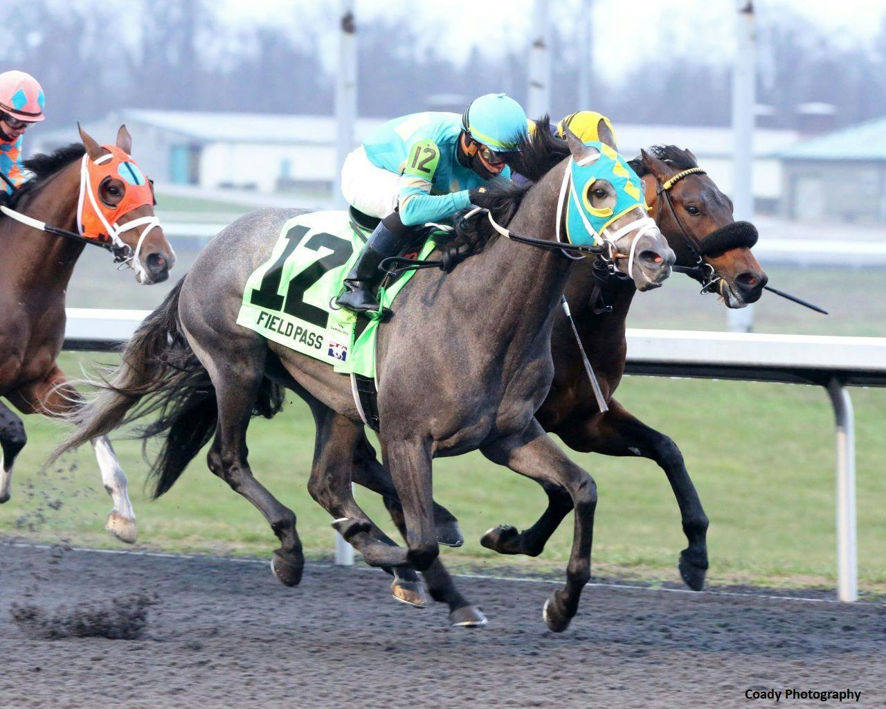 Kentucky Derby Pedigree Profile: Field Pass | TwinSpires